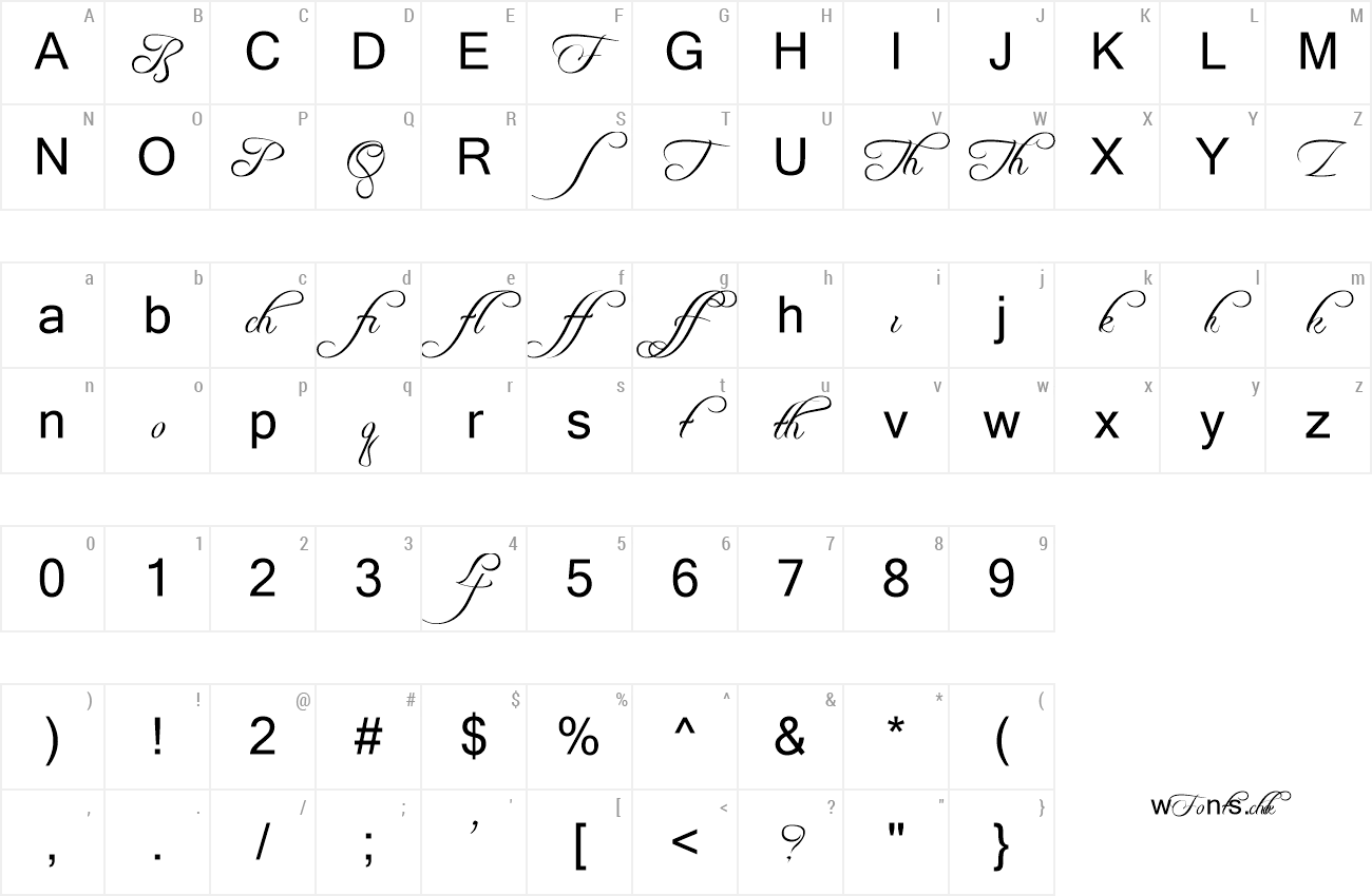 Freebooter Script - Alts Font | wfonts.com - download free