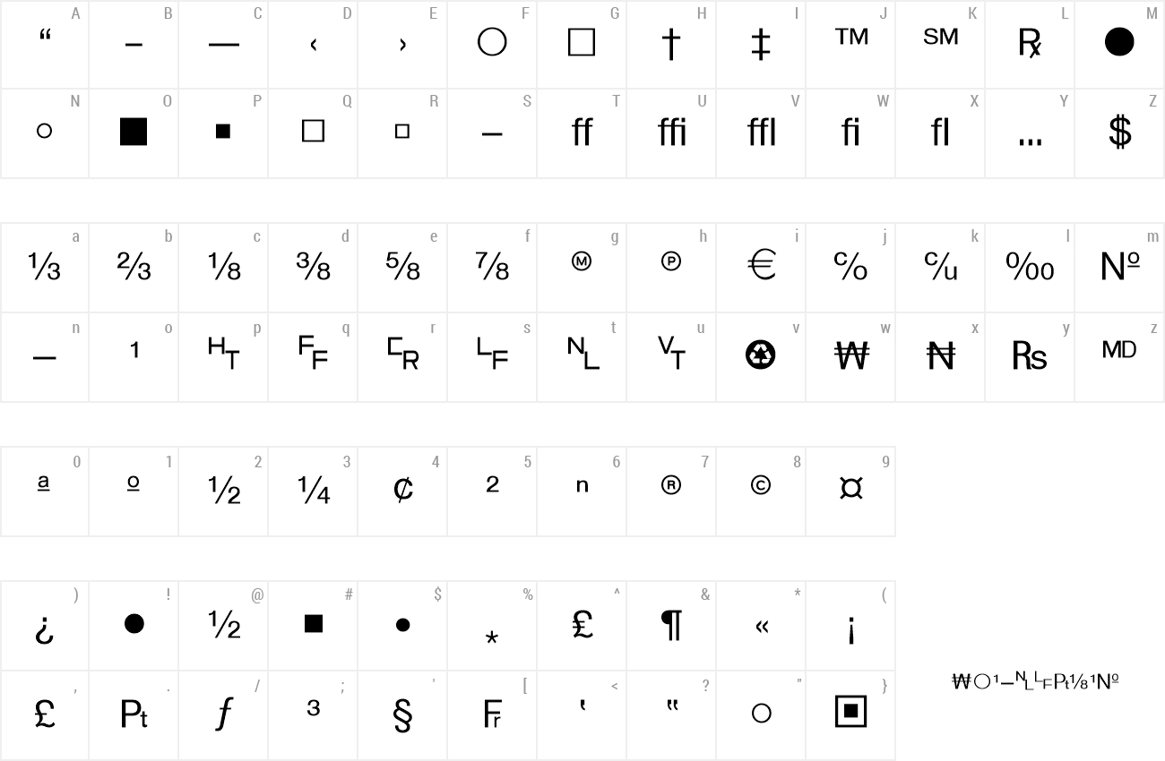 WP TypographicSymbols Font | wfonts.com - download free