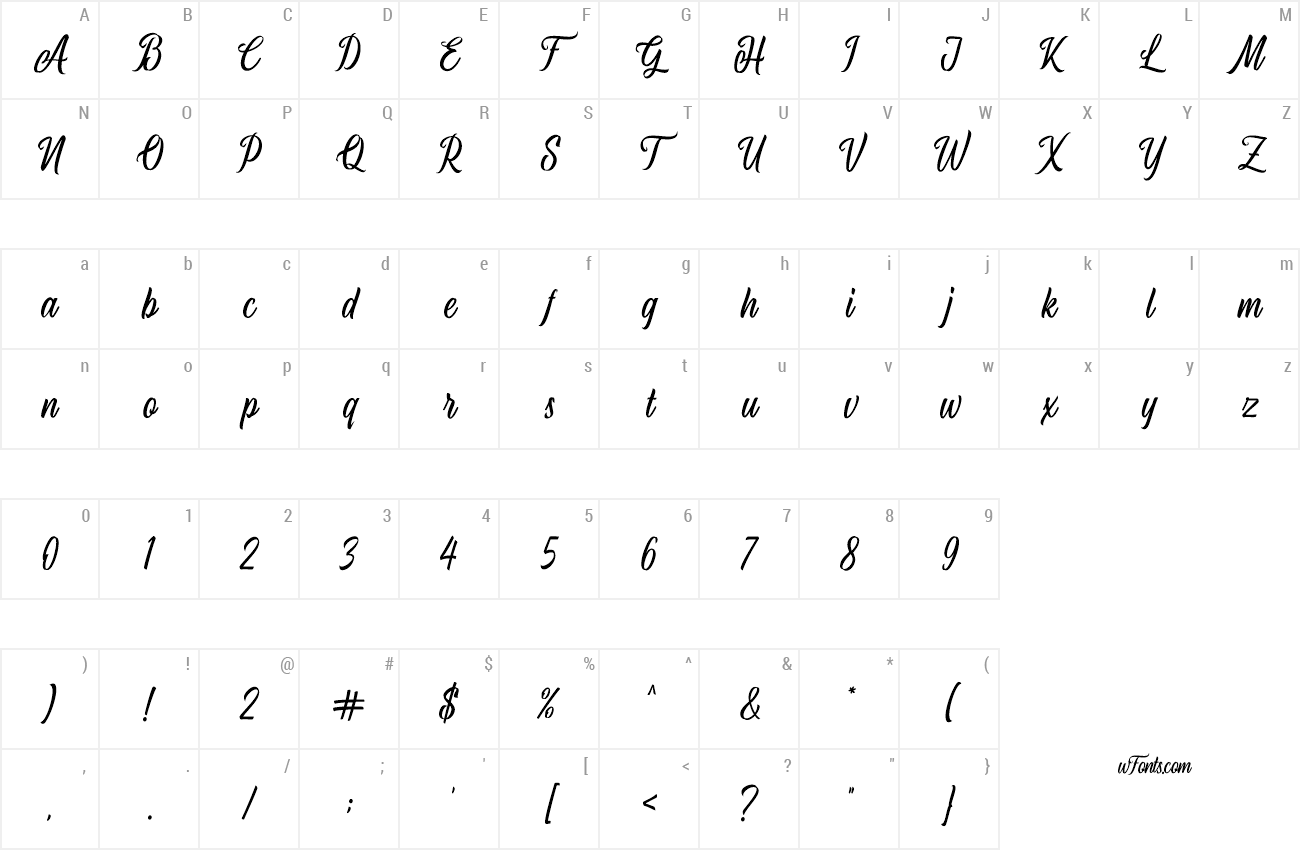 Airplane Script Font | wfonts.com - download free