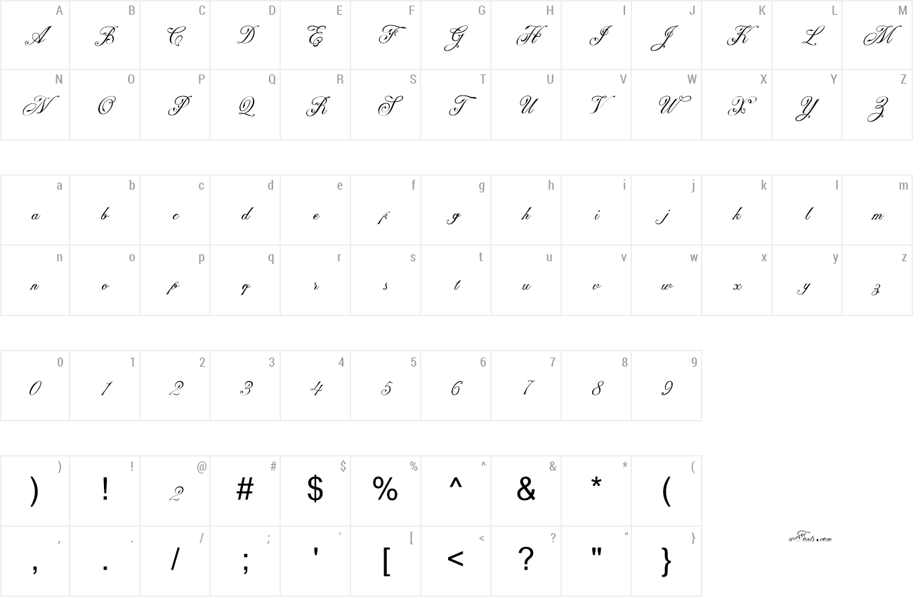 NS Champtone Script Font | wfonts.com - download free