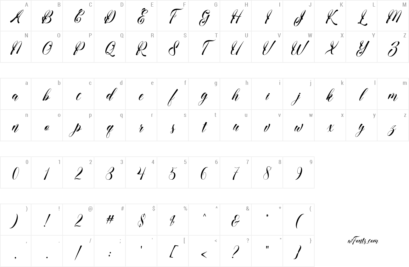 Medina Script Font | wfonts.com - download free