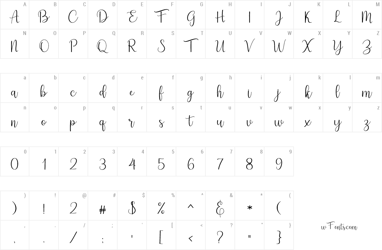 Aesthetic Script Font | wfonts.com - download free