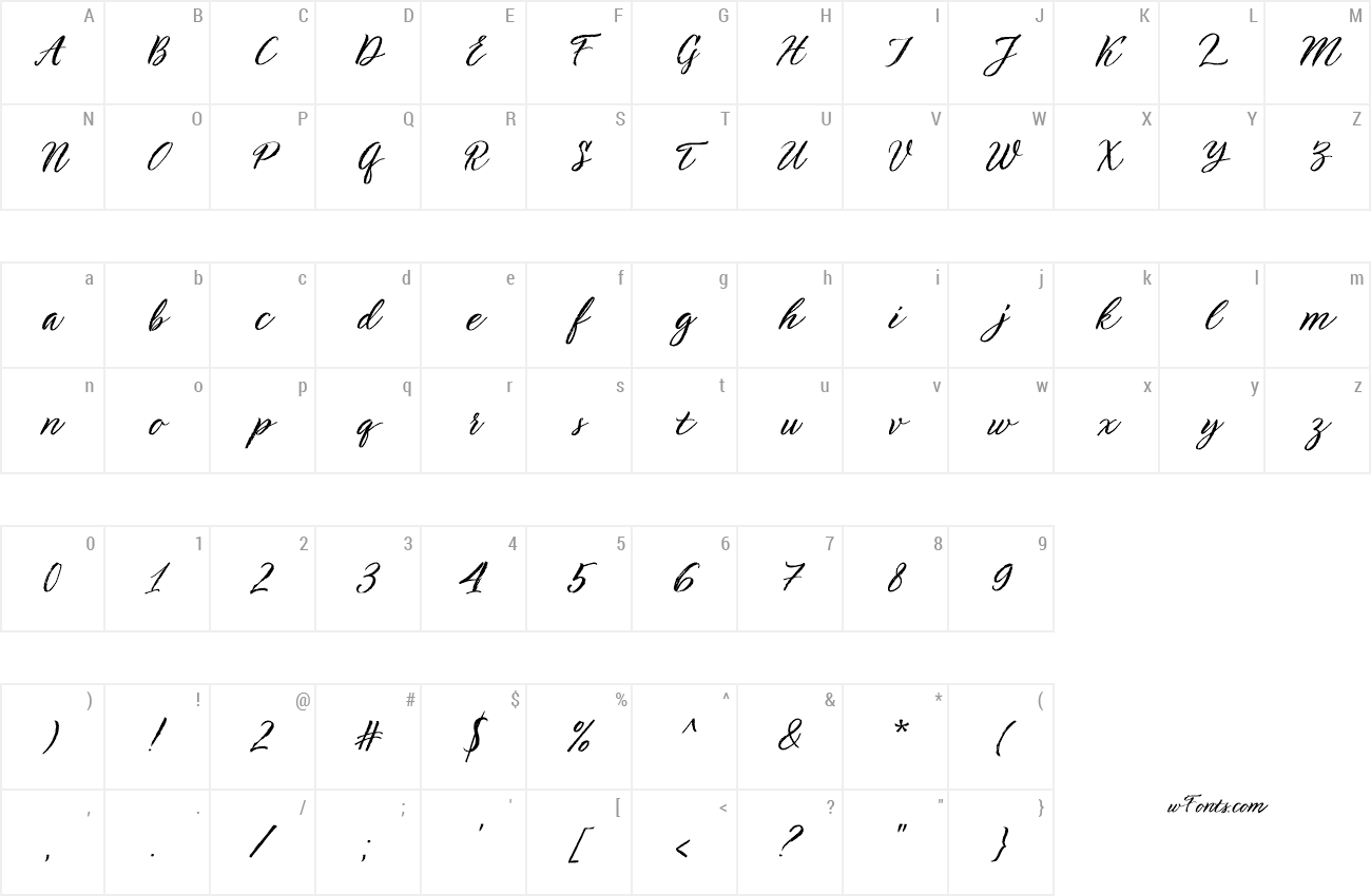 TT Berlinerins Script Font | wfonts.com - download free