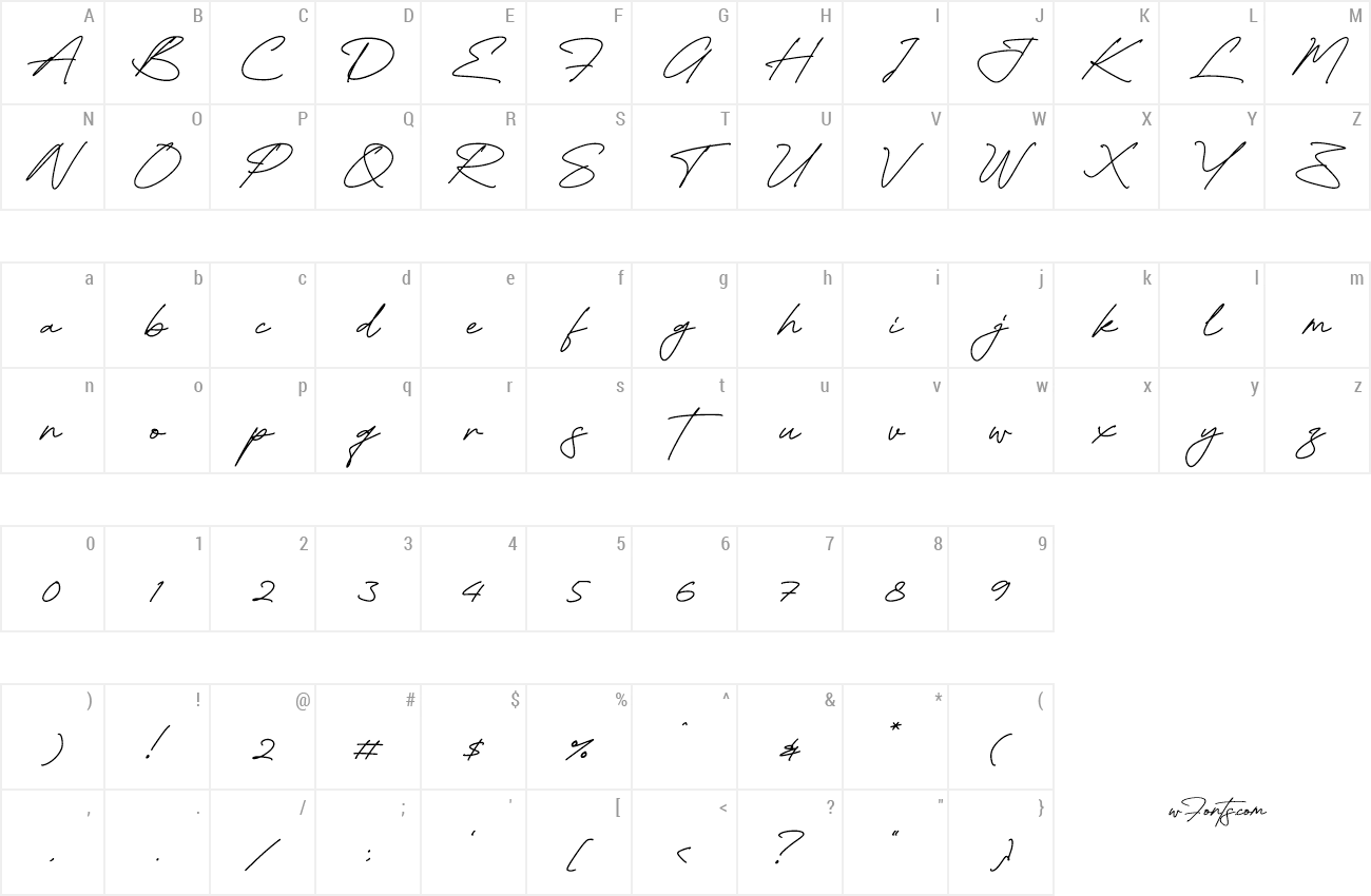 Falcon Picture Font | wfonts.com - download free