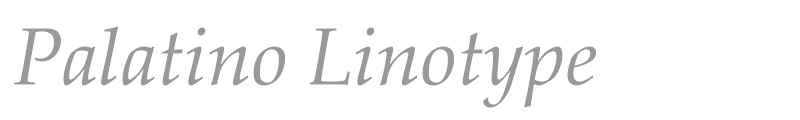 Palatino Linotype Font | wfonts.com - download free