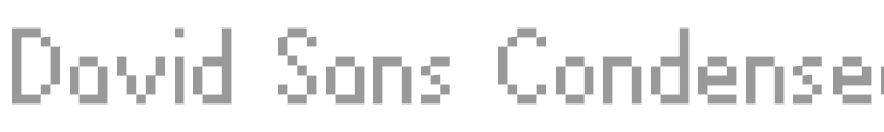 David Sans Condensed Font | wfonts.com - download free