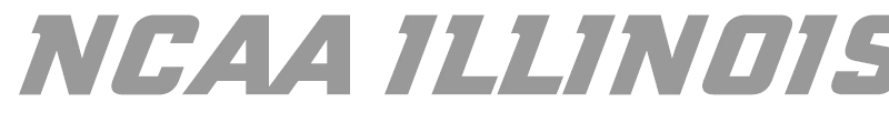 NCAA Illinois Fighting Illini Font | wfonts.com - download free
