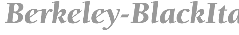Berkeley-BookItalic Font | wfonts.com - download free