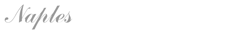 Naples Font | wfonts.com - download free