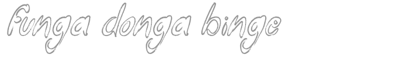 Funga Donga Binge Font | wfonts.com - download free