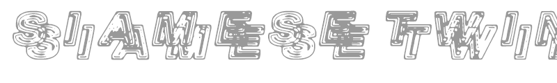 Siamese Twins Font | wfonts.com - download free