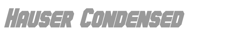 Hauser Font | wfonts.com - download free