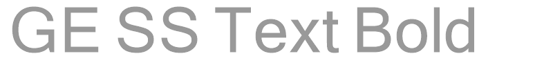 GE SS Text Bold Font | wfonts.com - download free