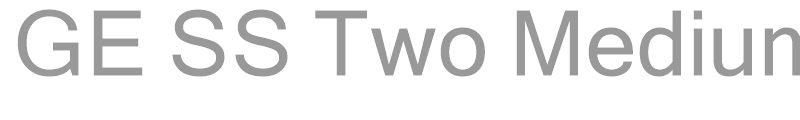 GE SS Two Medium Font | wfonts.com - download free