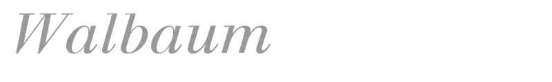 Walbaum Font | wfonts.com - download free