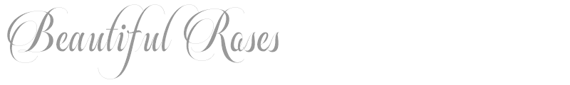 Beautiful Roses Script Font | wfonts.com - download free