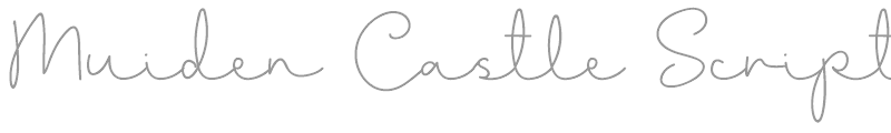 Muiden Castle Script Font | wfonts.com - download free