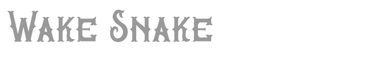 Wake Snake Font | wfonts.com - download free