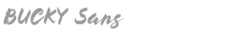 Bucky Sans Font | wfonts.com - download free
