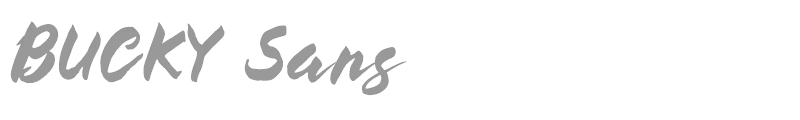 Bucky Sans Font | wfonts.com - download free