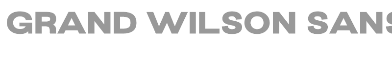 Grand Wilson Sans Font | wfonts.com - download free