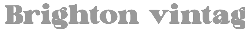 Brighton Vintage Font | wfonts.com - download free
