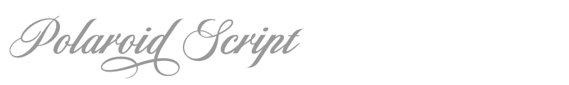 Polaroid Script Font | wfonts.com - download free